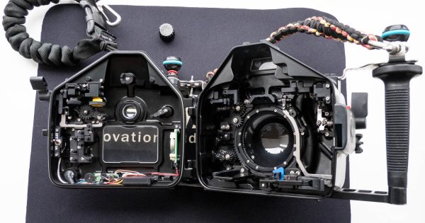 Underwater Camera Housing: A Guide to Choosing, Using and Care - Nature TTL