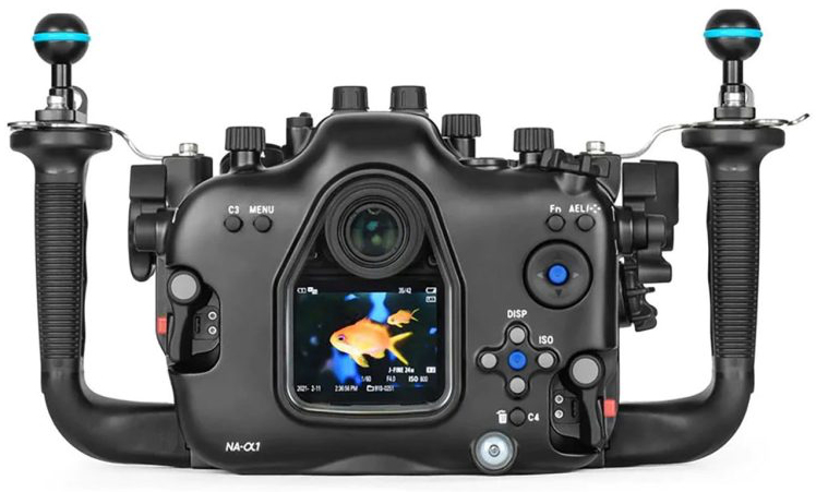 Underwater Camera Housing: A Guide to Choosing, Using and Care - Nature TTL