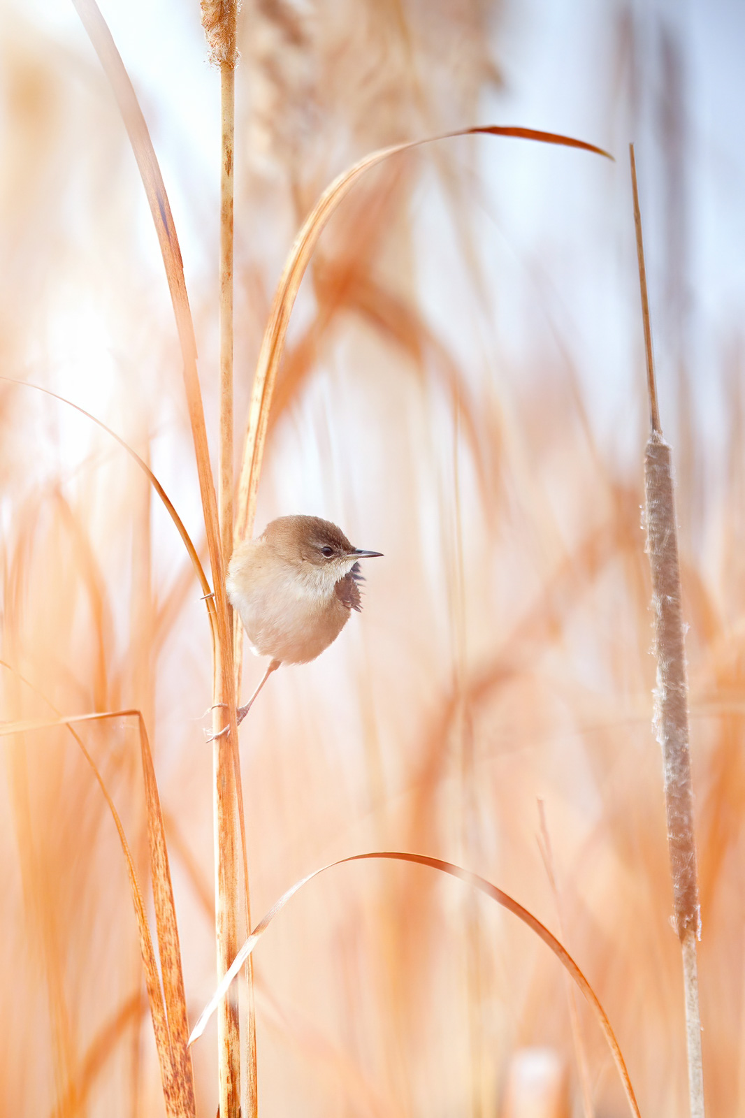 An Introduction to the Power of Colour Photography - Nature TTL