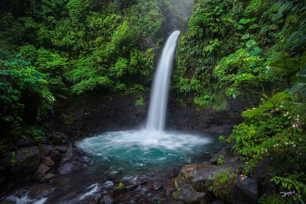 8 Post-Processing Tips for High Quality Images - Nature TTL