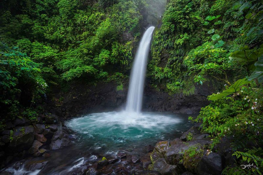 8 Post-Processing Tips for High Quality Images - Nature TTL