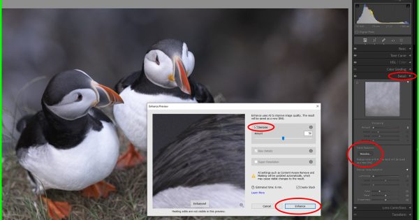 8 Post-Processing Tips for High Quality Images - Nature TTL