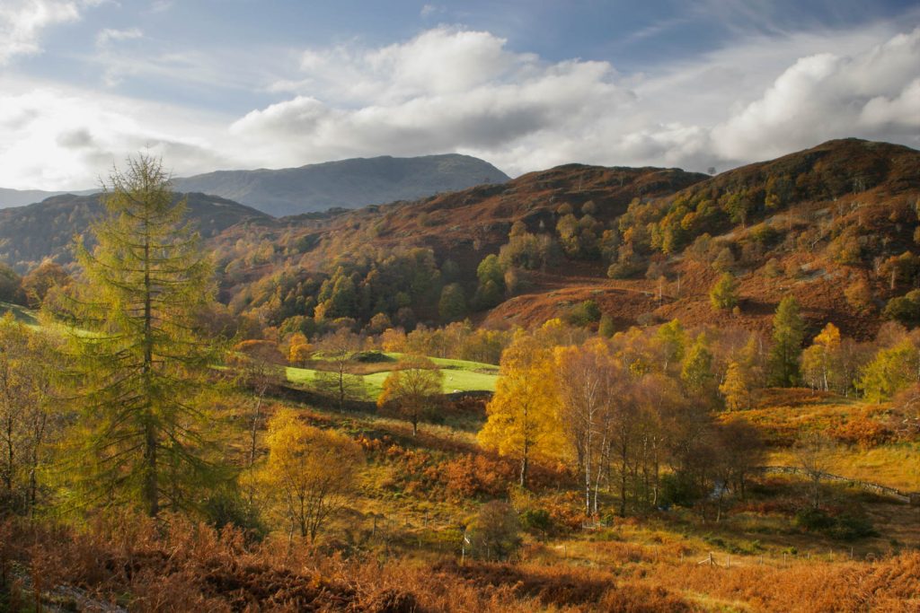 How to Photograph the Cumbria Way - Nature TTL