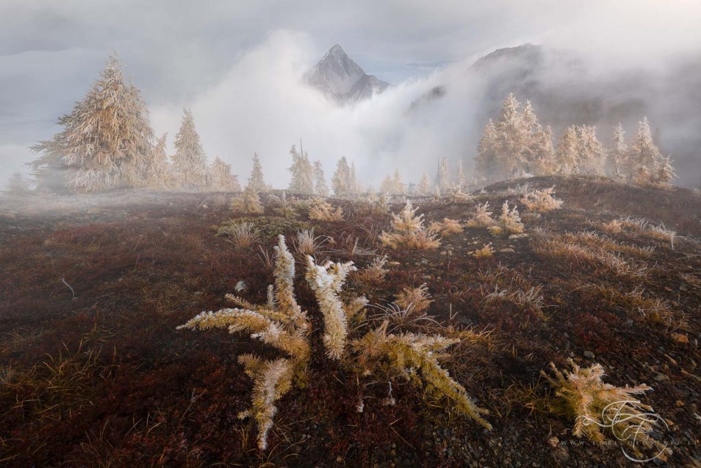 Dark and Moody Photography: Landscape Editing Tips - Nature TTL