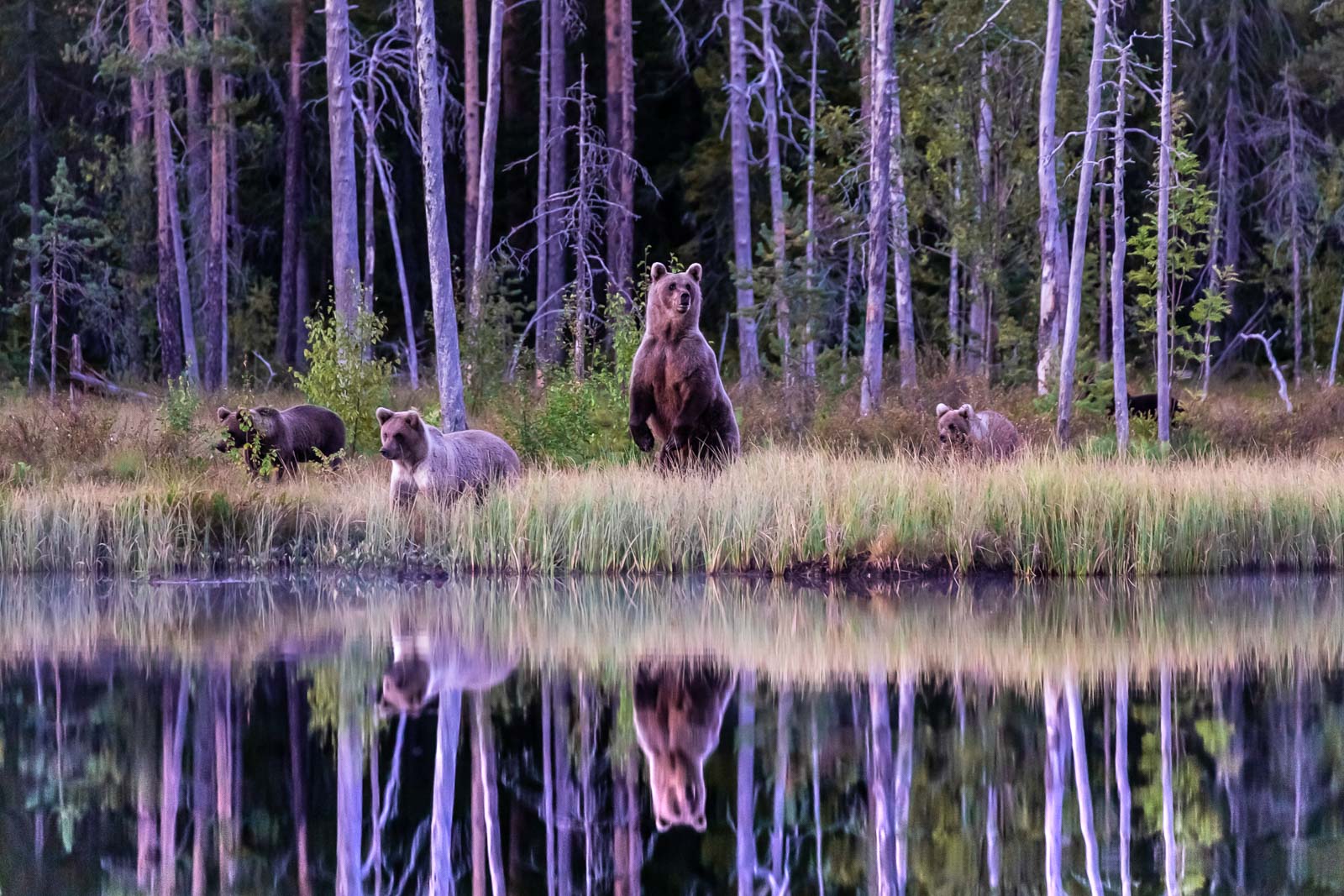 A Young Photographer’s Guide to Getting Started in Photography - Nature TTL