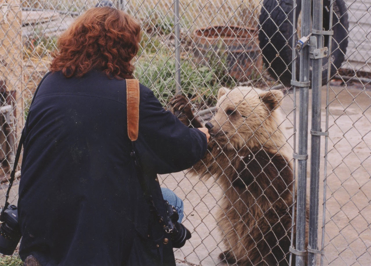 Wildlife for Hire: The Controversial Practice of Game Farm Photography ...