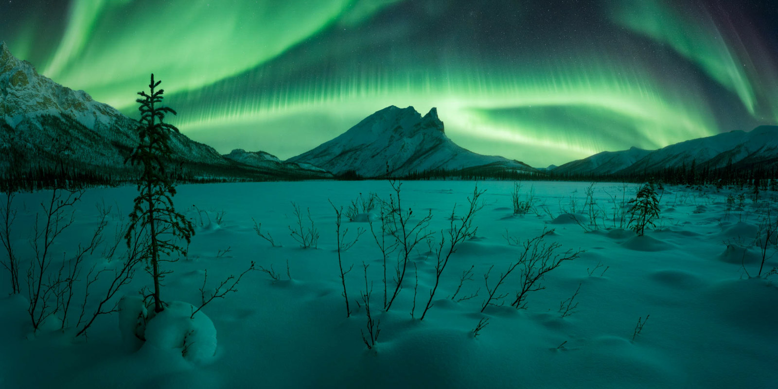 Northern Lights Photographer of the Year 2023 Announced - Nature TTL