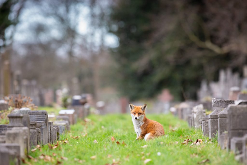 How to Beat Imposter Syndrome in Nature Photography - Nature TTL