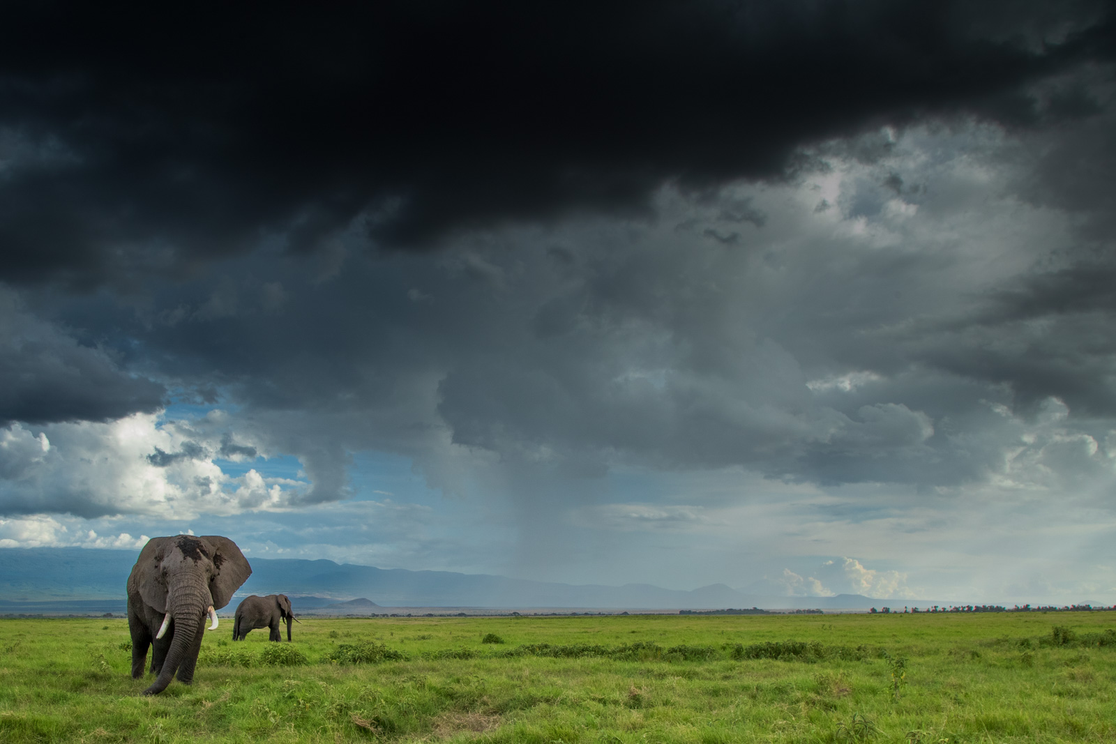 How to Beat Imposter Syndrome in Nature Photography - Nature TTL