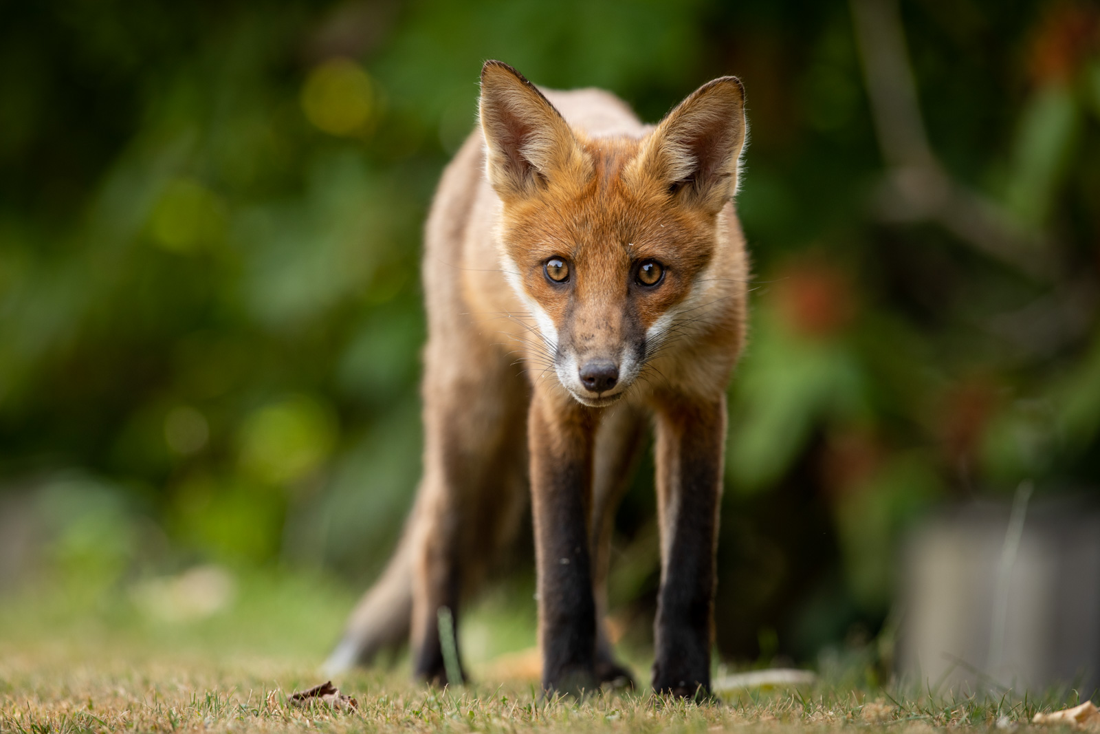 How to Beat Imposter Syndrome in Nature Photography - Nature TTL