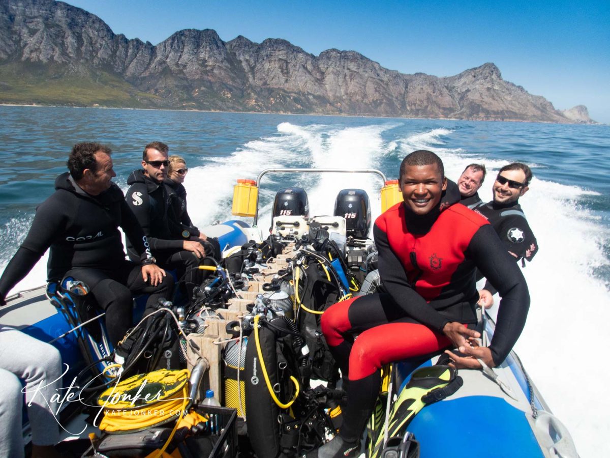 South Africa Photography: A Guide to the Best Underwater Locations ...