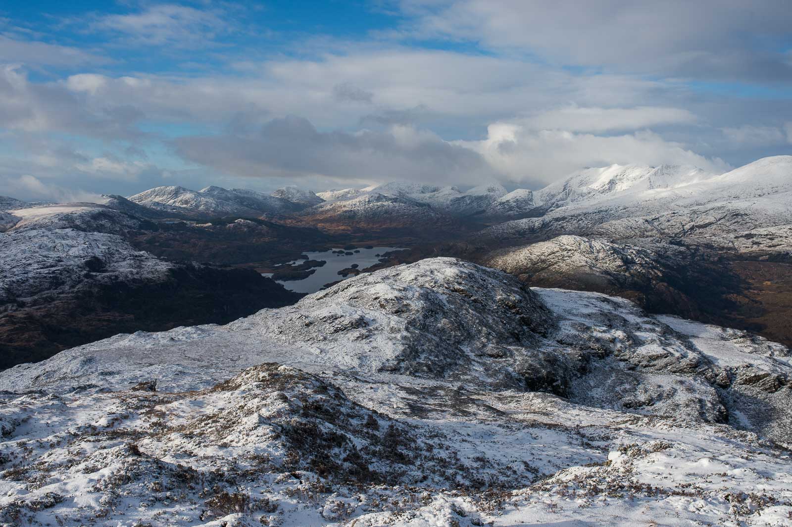 Ireland Wildlife Photography Guide: Explore These 7 Unmissable ...