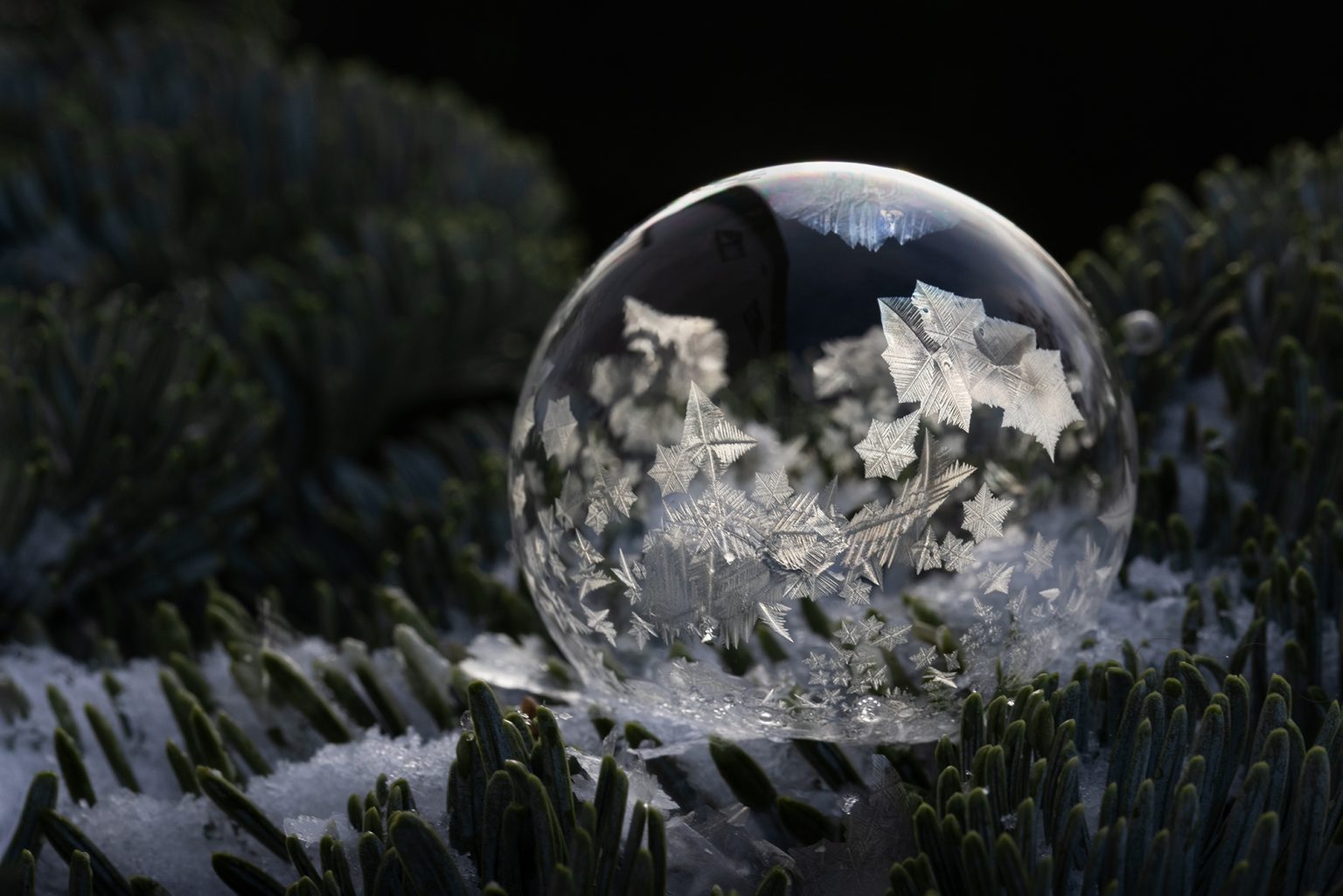 Winter Photography: Top Tips for Taking Photographs of Winter - Nature TTL