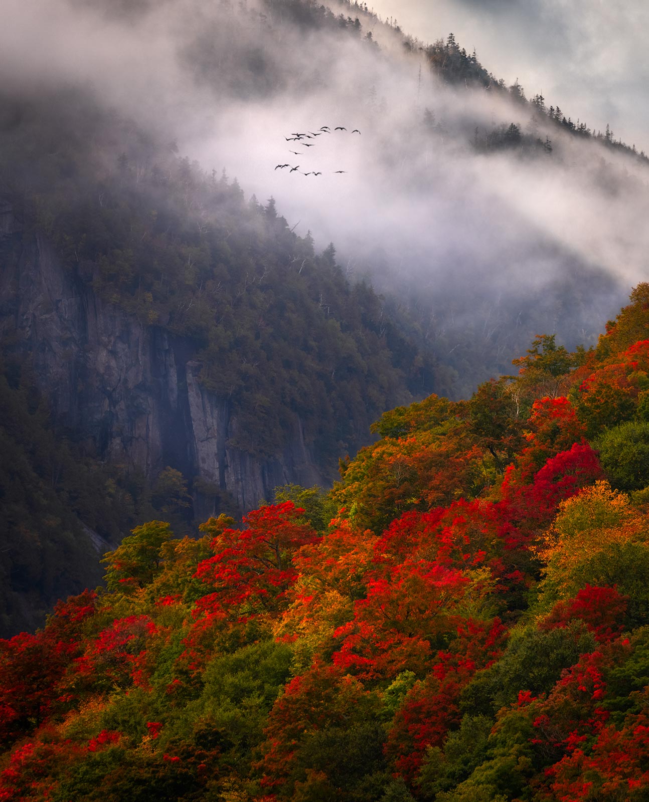 7 Best Places for Nature Photography in the Adirondacks - Nature TTL