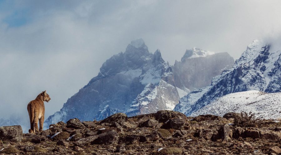 How to Get Started in Travel Photography - Nature TTL