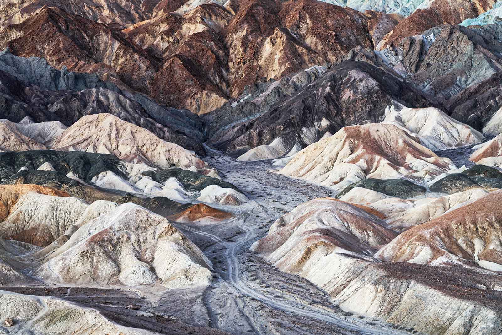 7 Essential Tips for Photo File Organization and Storage - Nature TTL