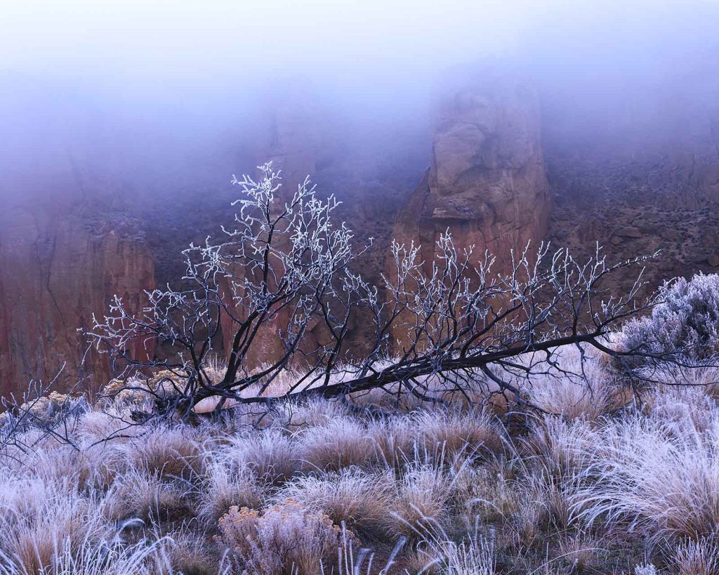 7 Essential Tips for Photo File Organization and Storage - Nature TTL