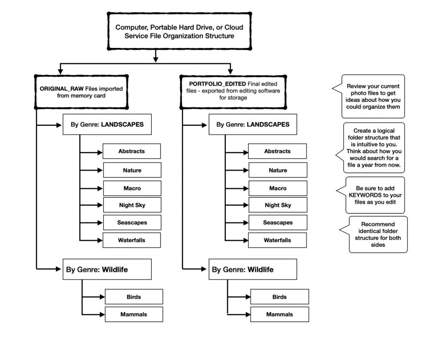 7 Essential Tips for Photo File Organization and Storage - ChinaGoSmart ...