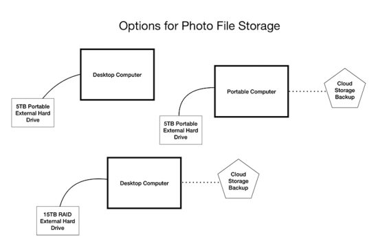 7 Essential Tips for Photo File Organization and Storage - Nature TTL