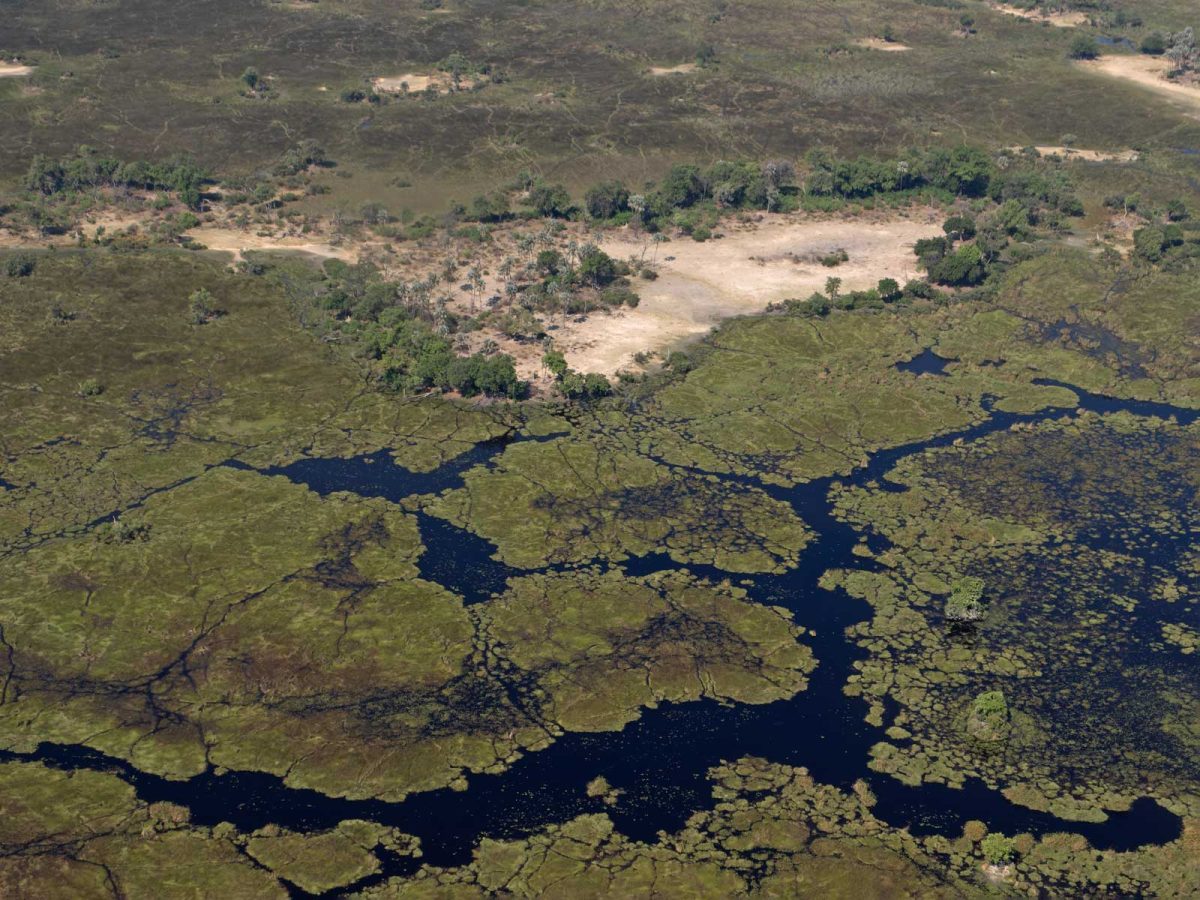 How to Plan a Photography Trip to the Okavango Delta - Nature TTL