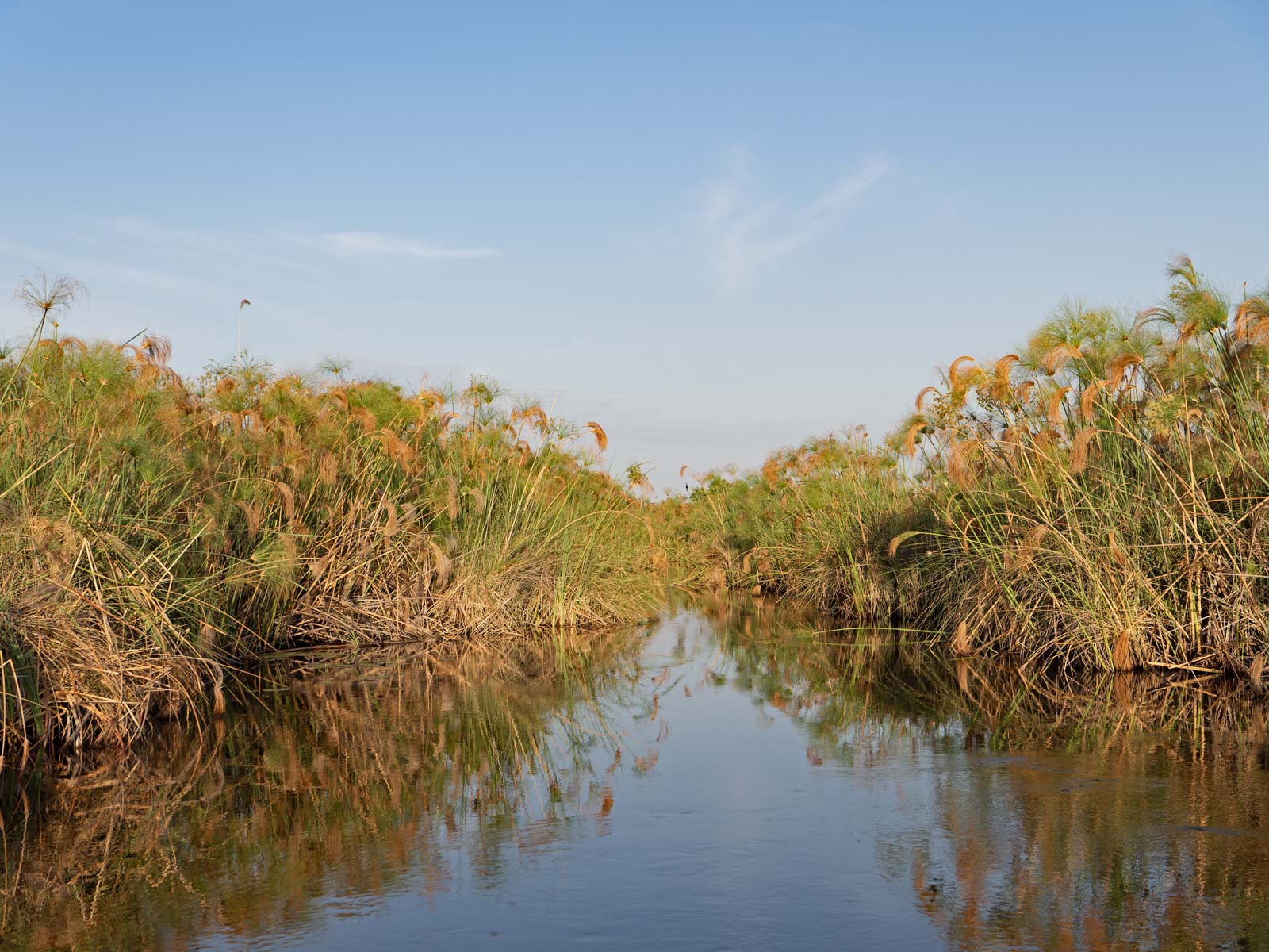 How to Plan a Photography Trip to the Okavango Delta - Nature TTL