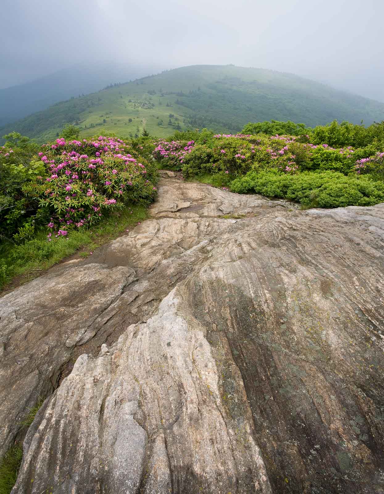 7 Best Places for Nature Photography in Tennessee - Nature TTL