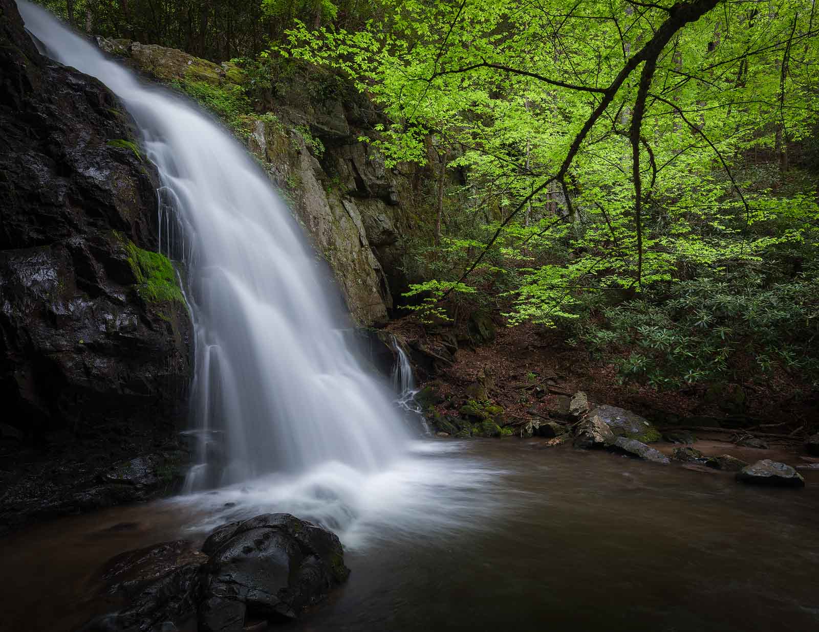 7 Best Places for Nature Photography in Tennessee - Nature TTL