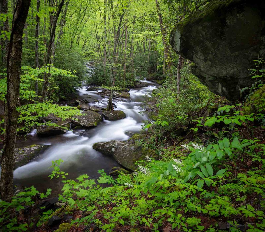 7 Best Places for Nature Photography in Tennessee - Nature TTL