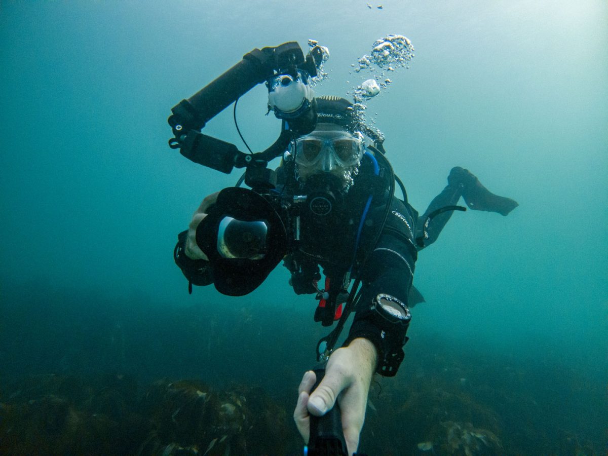Martin Stevens: From Amateur to Professional - Nature TTL