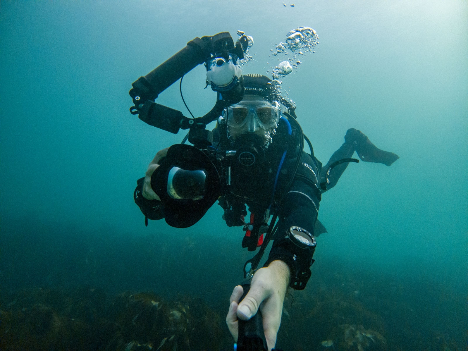 Martin Stevens: From Amateur to Professional - Nature TTL