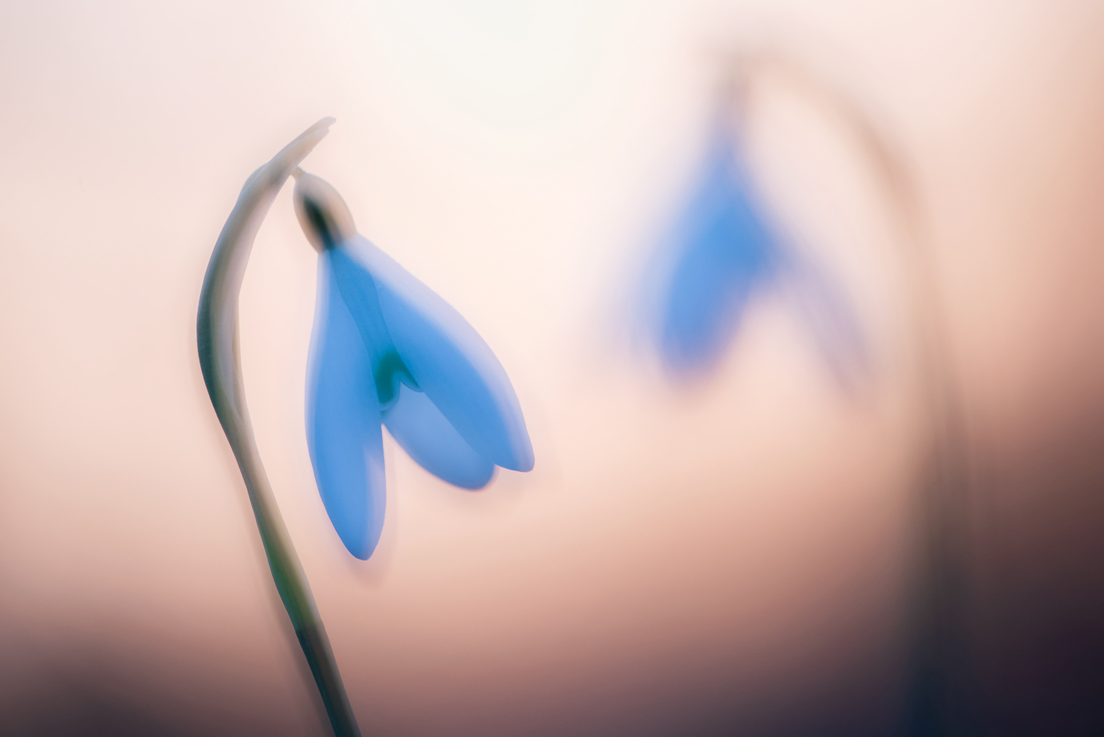 How to Find Balance in Photography Compositions - Nature TTL