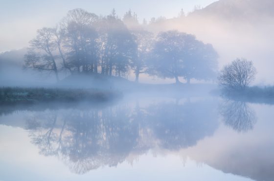 Nature Photography Tutorials - Nature TTL