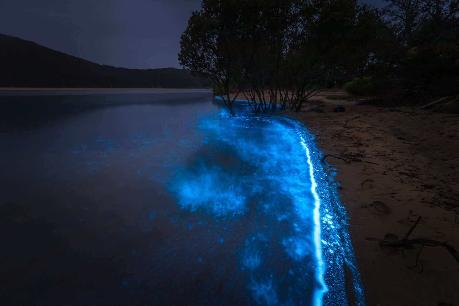 How to Photograph Bioluminescence in the Ocean - Nature TTL