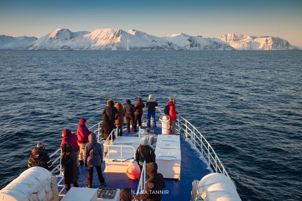 Photographing the Whales of Northern Norway - Nature TTL