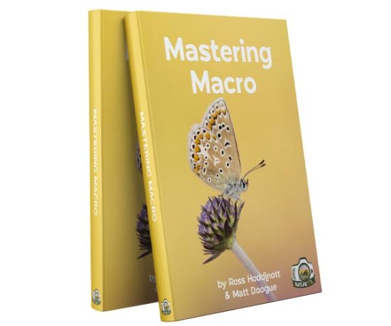 Mastering Macro Nature Ttl