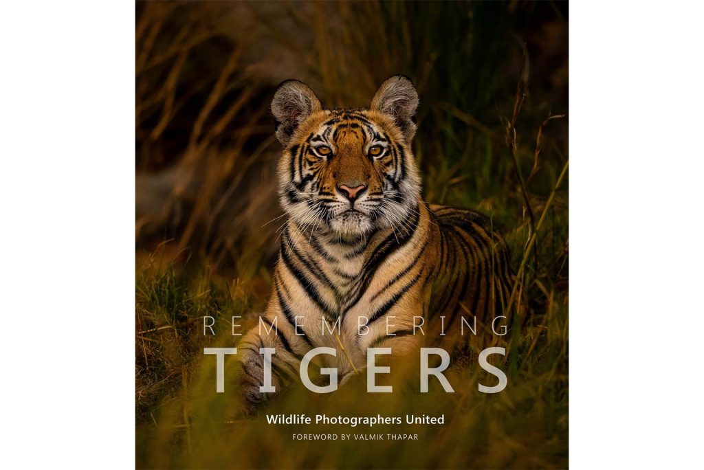 Top 10 Nature Photography Books for Photographers in 2024 - Nature TTL