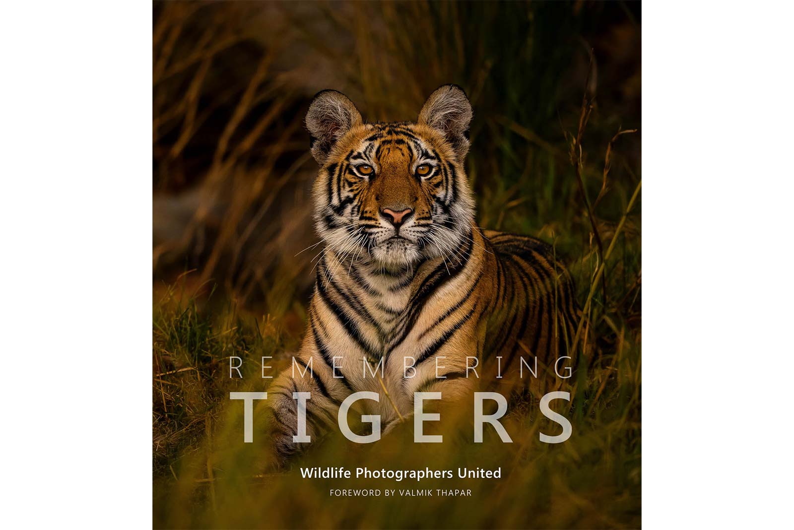 Top 10 Nature Photography Books for Photographers in 2024 - Nature TTL