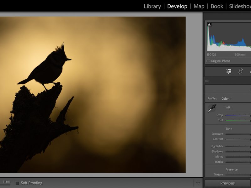 Introduction to Macro Photography: Technique - Nature TTL