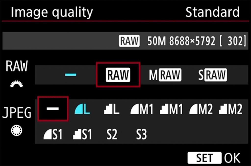 6 Essential Camera Settings for Wildlife Photographers - Nature TTL