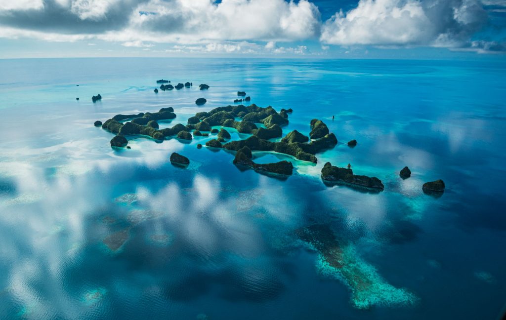 Capturing Conservation: Navigating the Path to Success as a ...