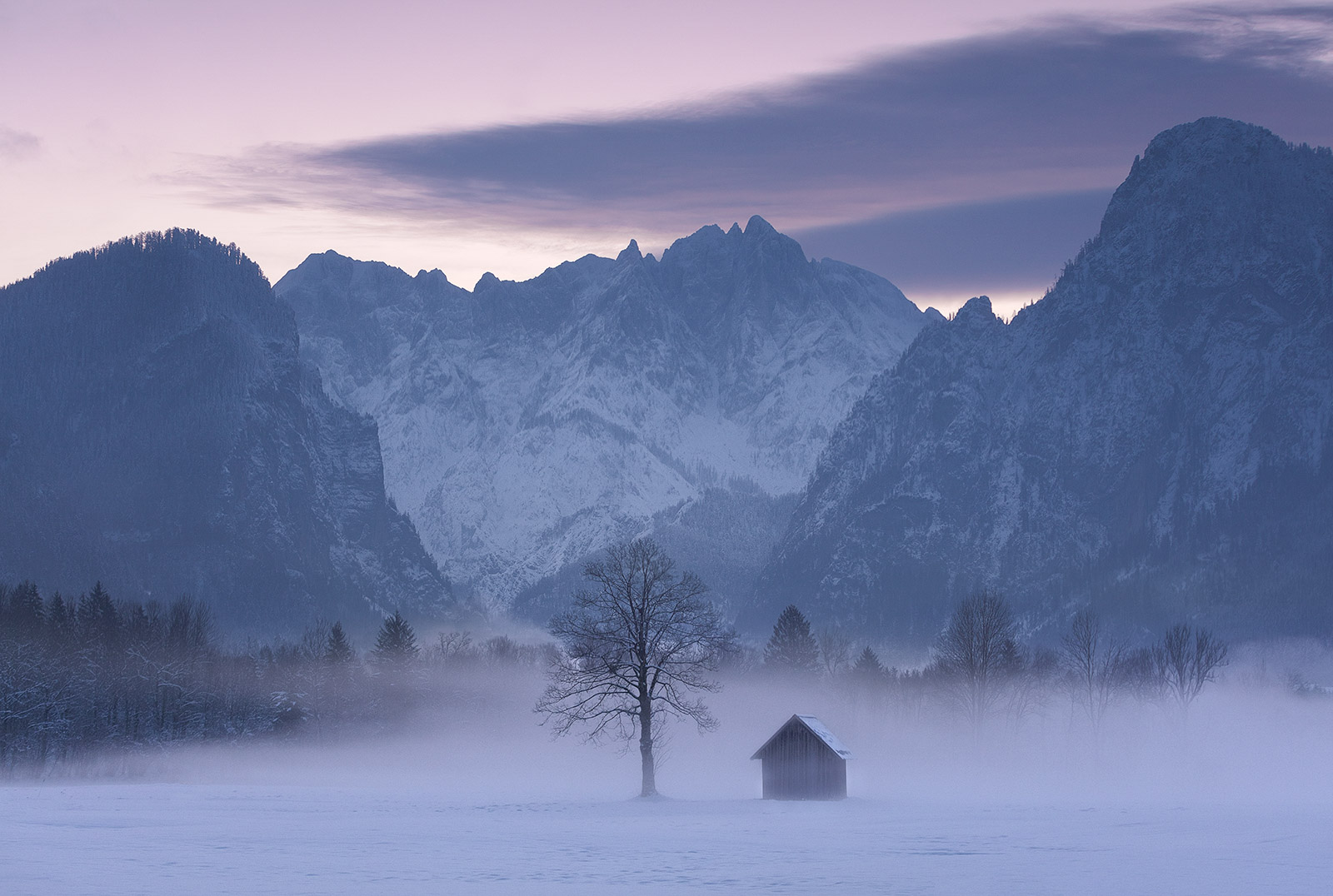 A Guide to Setting Nature Photography Goals - ChinaGoSmart News Magazine