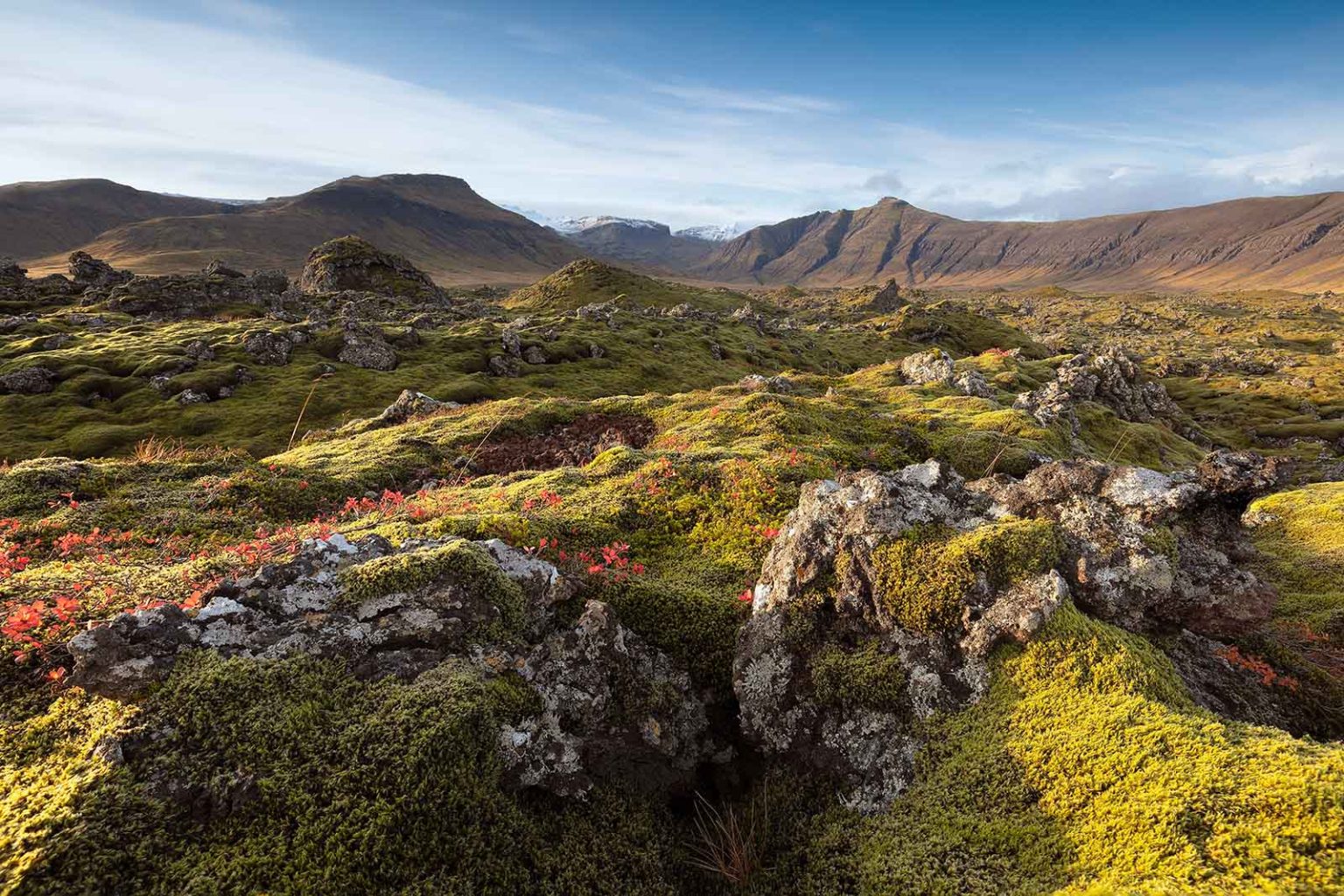 A Guide to Setting Nature Photography Goals - Nature TTL