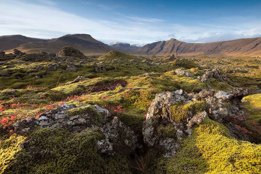 A Guide to Setting Nature Photography Goals - Nature TTL