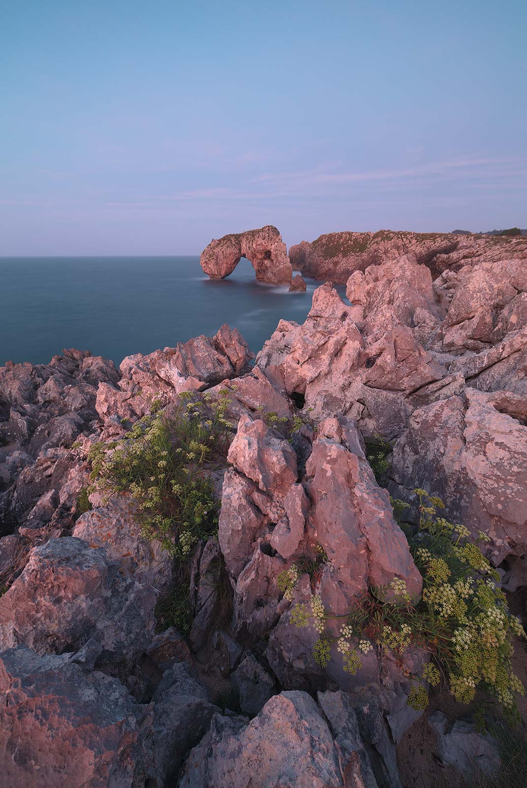 A Guide to Setting Nature Photography Goals - ChinaGoSmart News Magazine