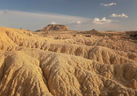 A Guide to Setting Nature Photography Goals - Nature TTL