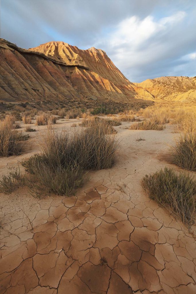 A Guide to Setting Nature Photography Goals - ChinaGoSmart News Magazine