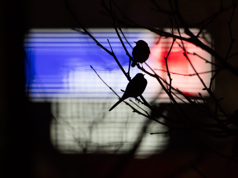 Why You Should Be Shooting in Raw - Nature TTL