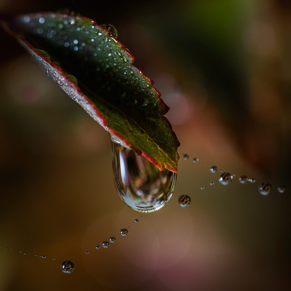 Weekly Photography Assignment: Northern Lights - Nature TTL