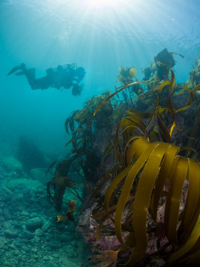 6 Essential Dive Skills for Underwater Photographers - Nature TTL