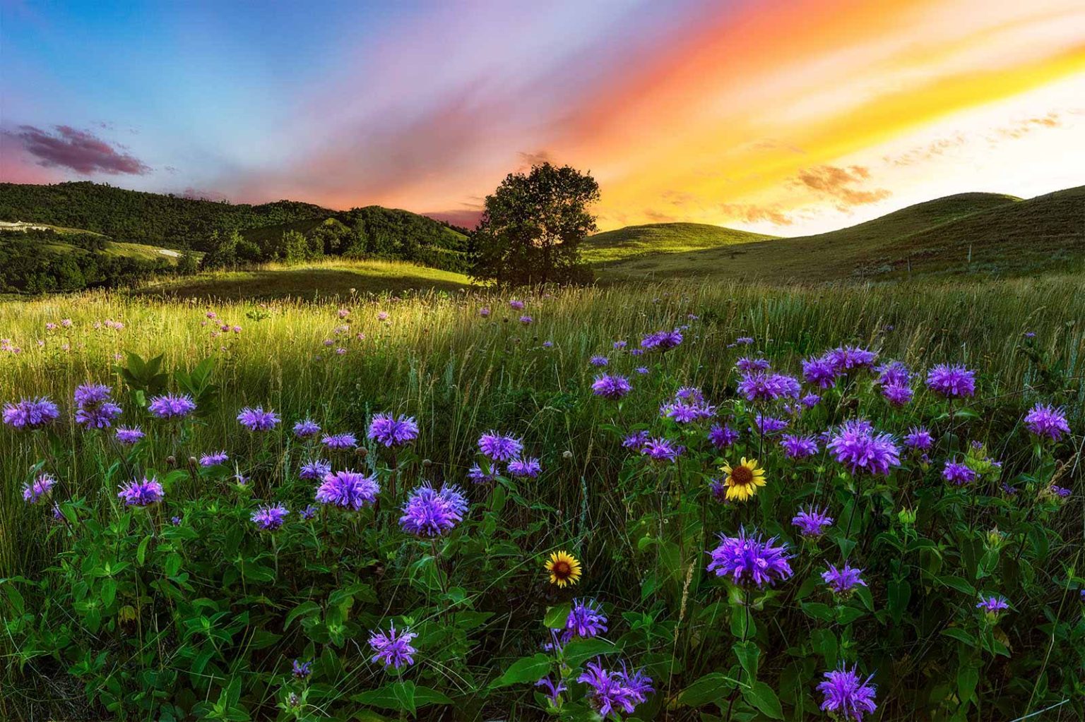 6 Best Places for Photography in Saskatchewan - Nature TTL